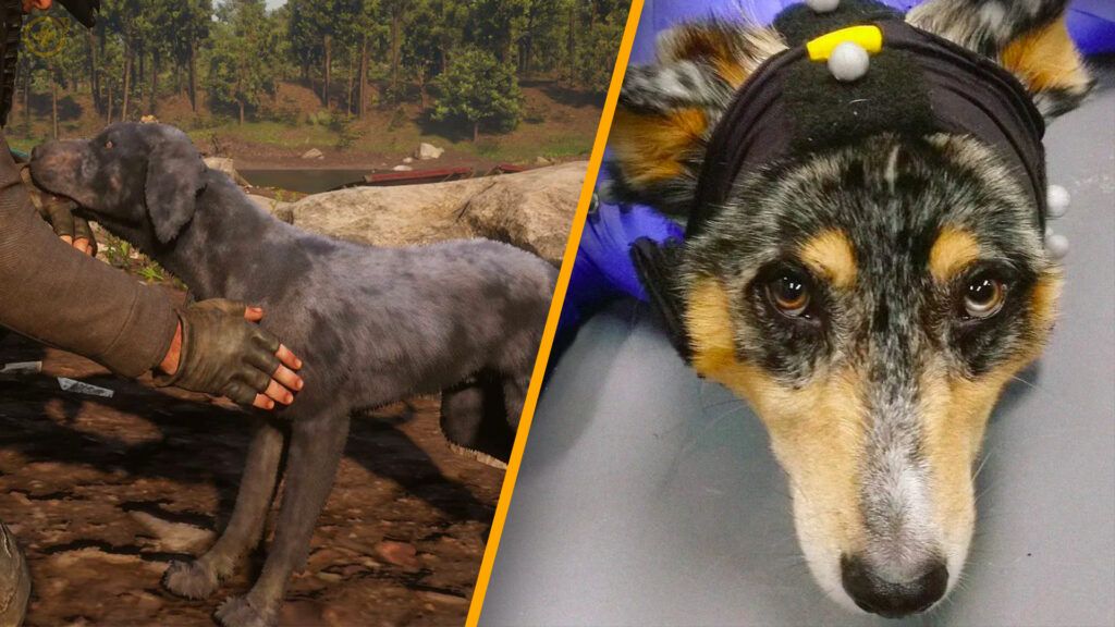 Red Dead Redemption 2: Einstein non c'è più. Era il cane che aveva ...